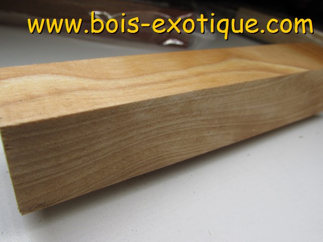 Blocs 7 - Bois-Exotique.com